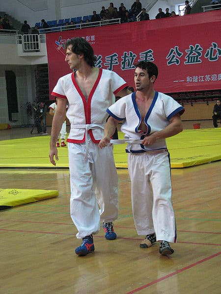 Shuai Jiao - The Chinese Grappling Art